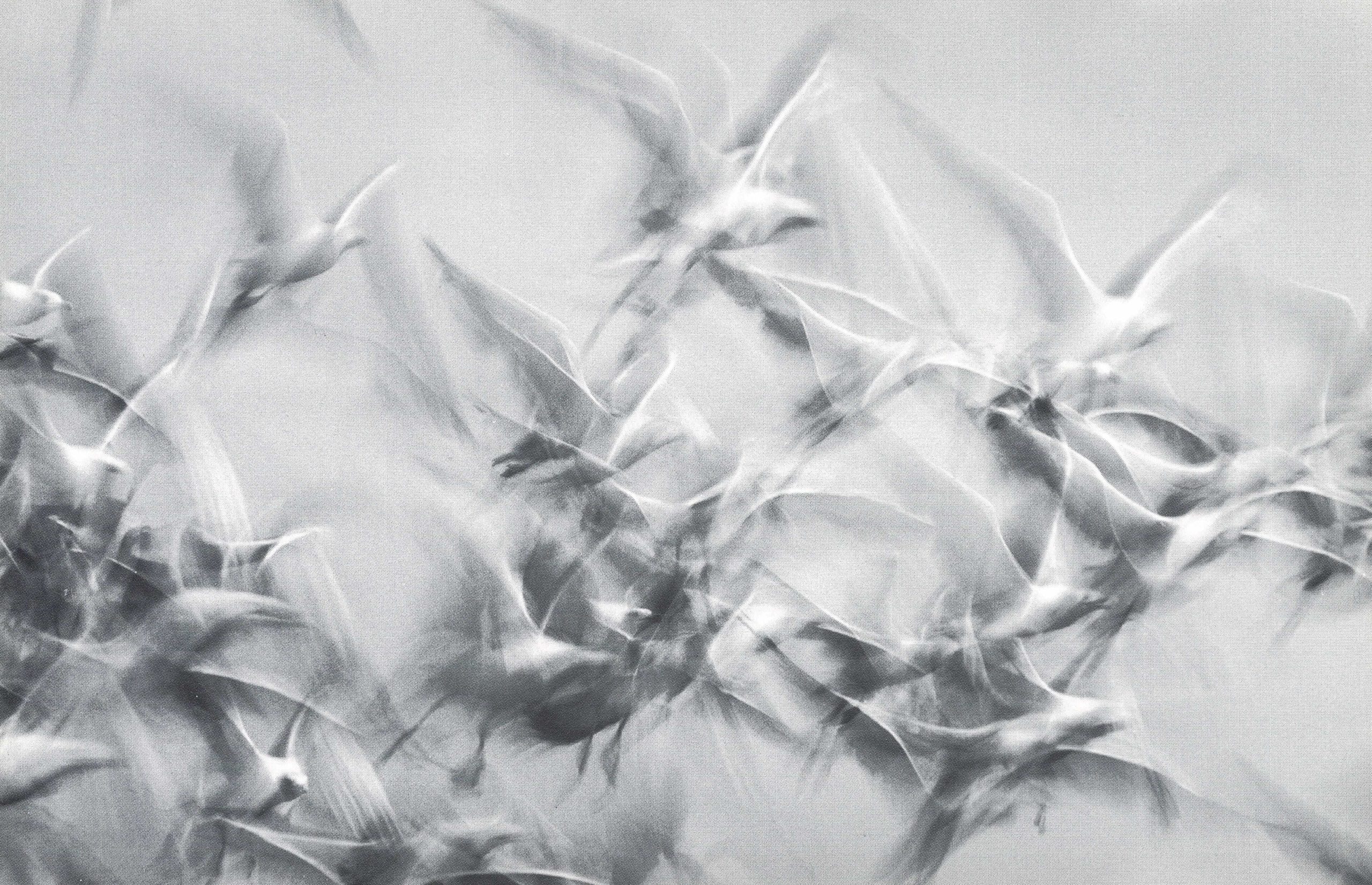 L'Imagerie centre d'art — 1/15e s. Photographies
